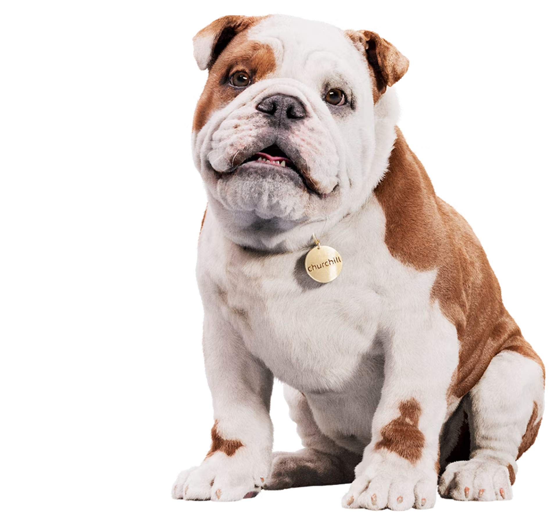 Business Insurance Quotes - Churchill